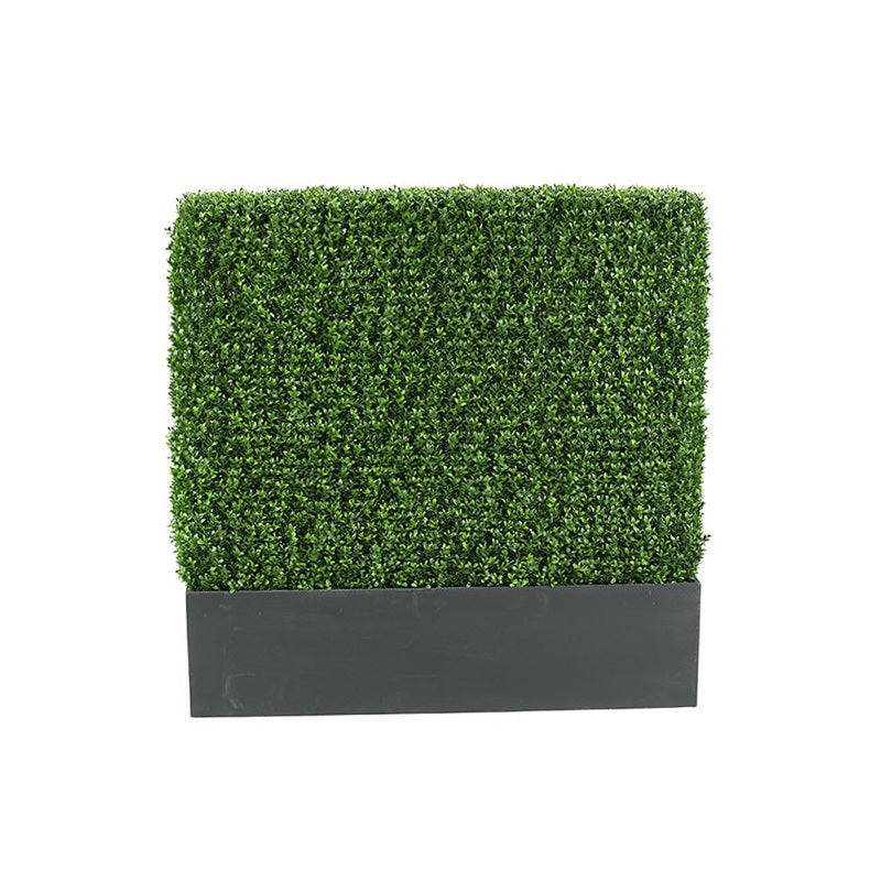 4′ Boxwood Hedge in Rectangle Planter – Pacific Patio Furniture